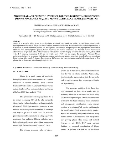 Pdf Molecular And Phenetic Evidence For Two Distinct Morus Species Morus Macroura Miq And