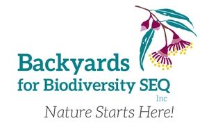 How To Verge A Morning With Urban Wildlife Gardens Noosa