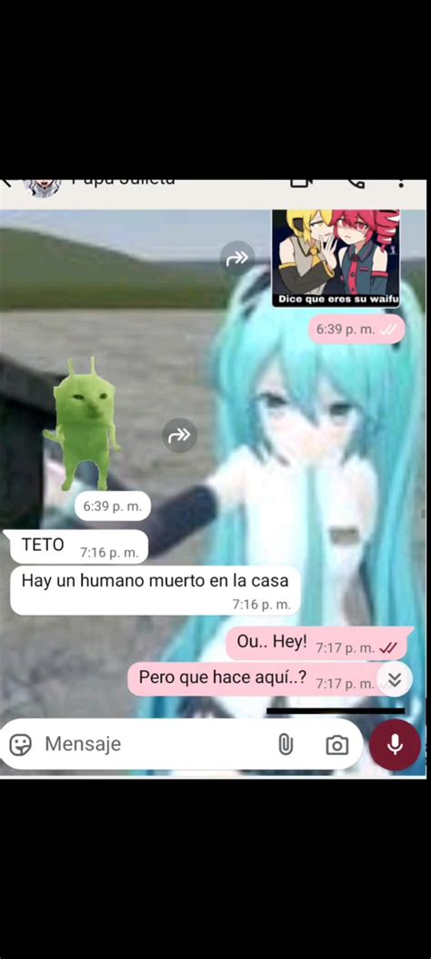 Teto Y La Música Vocaloid ¡hasta El Próximo Video Tiktok