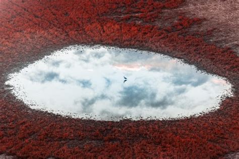 International Aerial Photographer Of The Year Contest Highlights The