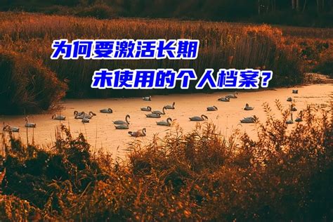 为何要激活长期未使用的个人档案？有什么作用？ 全国人才档案查询网
