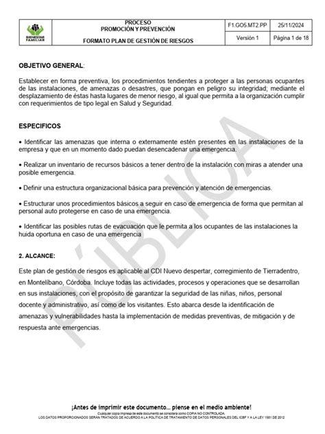 Plan De Gestion De Riesgoscdi Nuevo Despertar2025 Pdf Simulación Primeros Auxilios