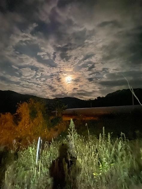 년 월 일부터 시행되는 중국인 단체 무비자 입국제도 총정리
