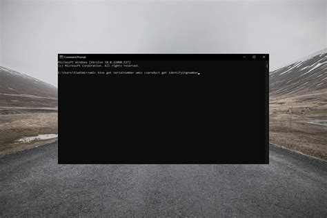 如何在windows 11 pc上找到序列号：4种方法