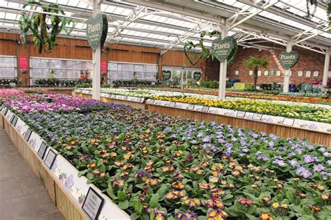 Owners Of Award Winning Garden Centre Take Difficult Decision To Sell Up