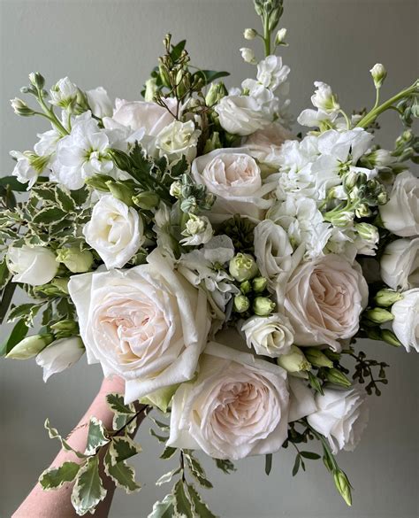 Ottawa Florist Plant Shop And Flower Delivery Ottawa Scrims Florist