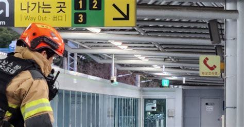 멧돼지 출몰 급증하는데 총기 제한에 사냥개도 못 쓰는 부산