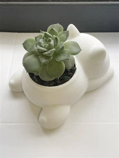 Cat Planter Free 3d Print Model Makerworld