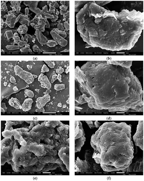 Innovative Cold Plasma Pretreatment And Enzyme Assisted Extraction Of Genistein From Edamame And