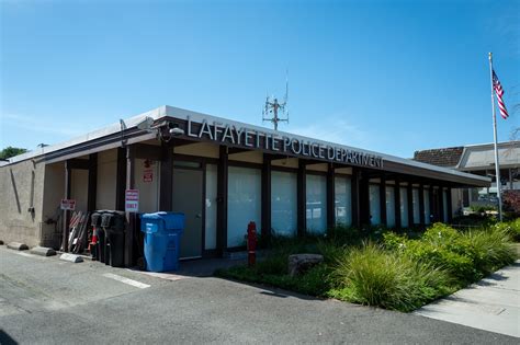 Bizarre Alleged Bear Spray Attack Hits Lafayette Bay Area Telegraph