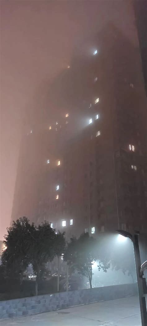 生怕错失了这场初冬大雾的邂逅，所以才安排了失眠吗？ 抖音