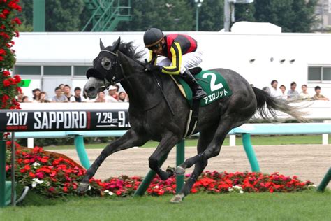 「モノトーンのぬいぐみ馬？」アエロリットが輝いた、2017年クイーンステークス（ウマフリ）｜dメニューニュース（nttドコモ）