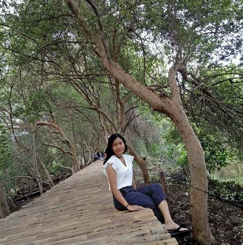 Gajah Di Thailand Sorotan Facebook For Creators Meta Facebook Holiday