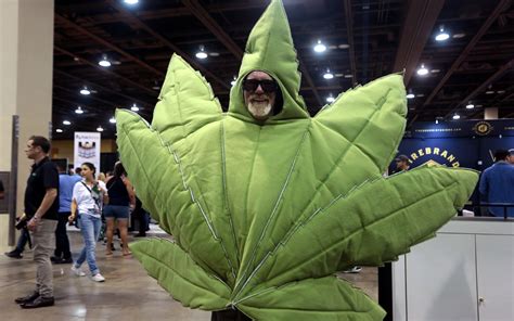Cannabis Conferences Have Become A Battleground Roots Vs Suits” Cmw