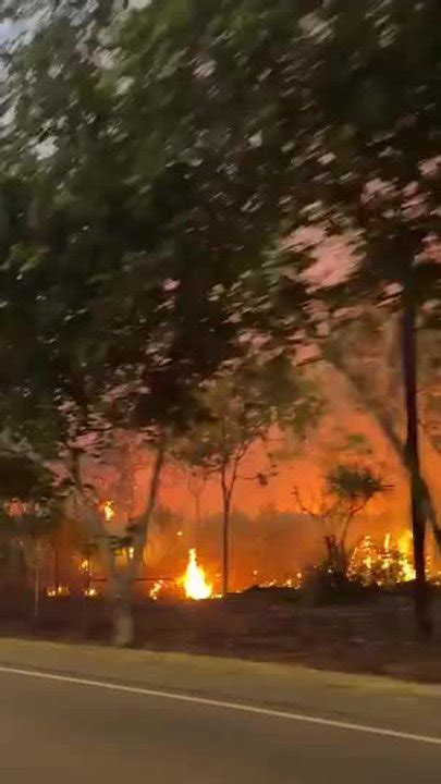 Dick Ward Drive Fire Grass And Scrub Blaze Burns Near Eaton The