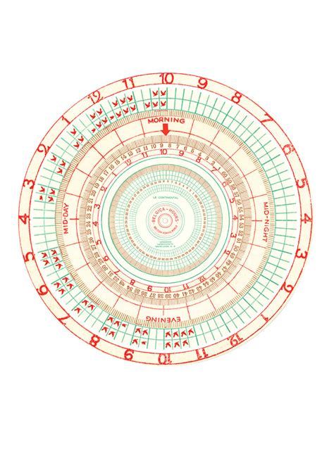 Pigeon Clock Graph Lucy Stevens