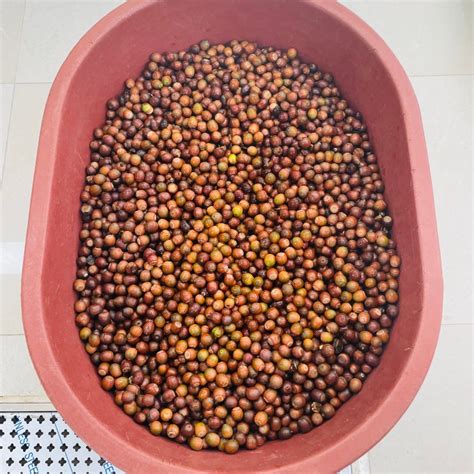 예산 도토리 방앗간 영업중입니다 네이버 블로그