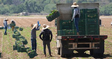 trump curbs immigration enforcement in some industries