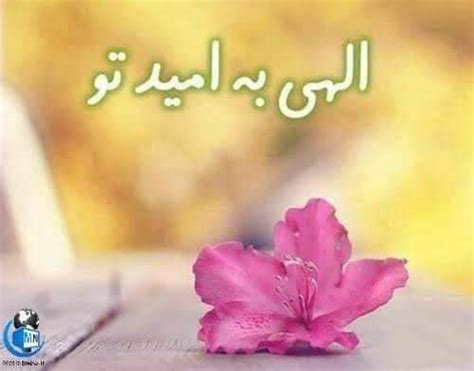 عزیز الله دروازی چهره بکشا Sanoorg Zanoorg