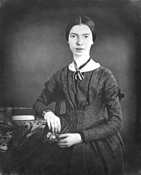 Emily Wikipedia