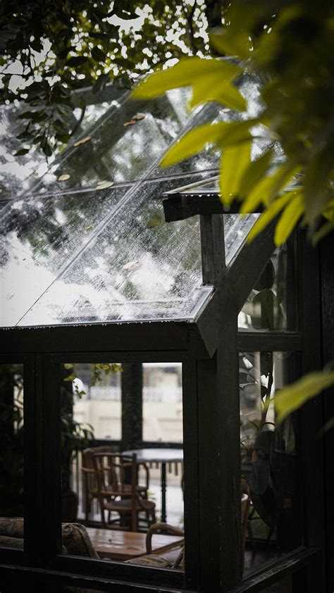 건축 경치 경치가 좋은 계절 고요한 고요함 나무 나뭇잎 날씨 녹색 녹지 동양 동양 건축 디자인 명상적인 무성한 문화 유산 문화적 미적으로