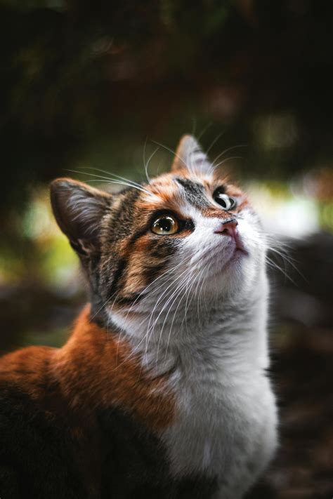 최고의 بهترینفونتفارسیرایگان 사진 · 100 무료 다운로드 · Pexels 스톡 사진