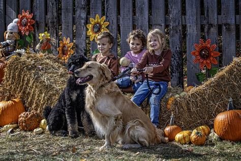 Health And Wellness Events In Kansas City Visit Kc