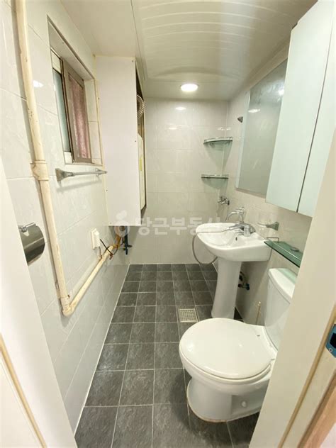 매화하우스 월세 40 25 당근 부동산