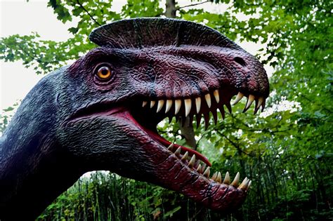 Trex Dinosaur Dino Free Photo On Pixabay