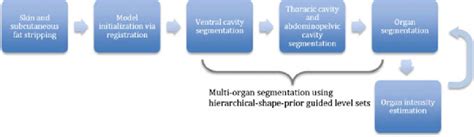 4 The Processing Pipeline Of The Proposed Multiorgan Segmentation Download Scientific Diagram