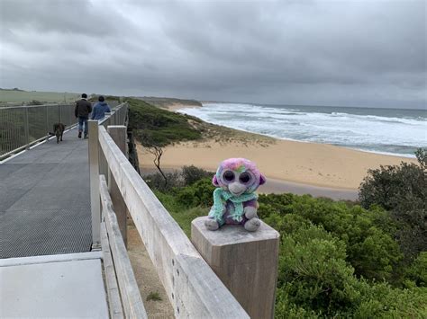 Bourne Creek Trestle Bridge Kilcunda Minkys Day Out