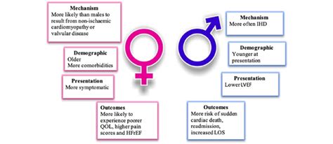 Heart Failure With Reduced Ejection Fraction Does Sex Matter The