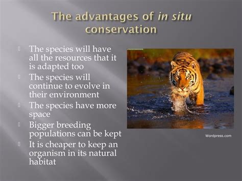In Situ And Ex Situ Conservation Ppt