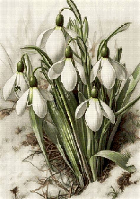 Предпросмотр схемы вышивки «подснежники» (№2778058) - Вышивка крестом