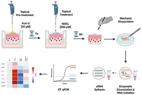 Pseudopterosin A D Modulates Dendritic Cell Activation In Skin Sensitization
