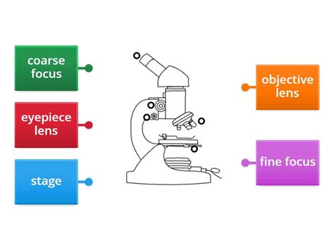 Microscope Labelled Diagram