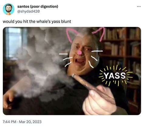 The Whale Passing A Blunt Meme The Whale Passing A Blunt Know Your Meme