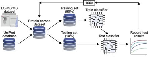 RFC Workflow For Splitting Based Predictions LC MS MS Gives Protein