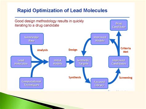 Lead Optimization In Drug Discovery Ppt