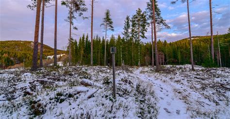 Evje Natursti Setesdalssida