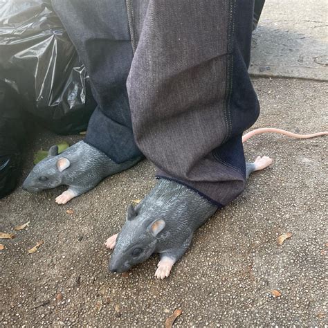 Amazing “rat” Slides By Imran Potato Design You Trust — Design Daily