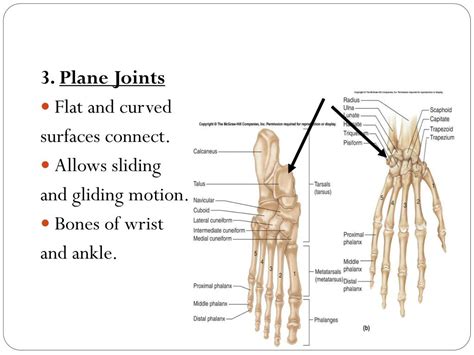 What Are Plane Joints At Christine Scheerer Blog