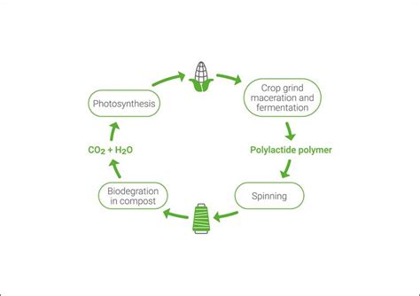 Ispo Textrends Award For Radicigroups Biofeel Eleven Yarn Textile Insights
