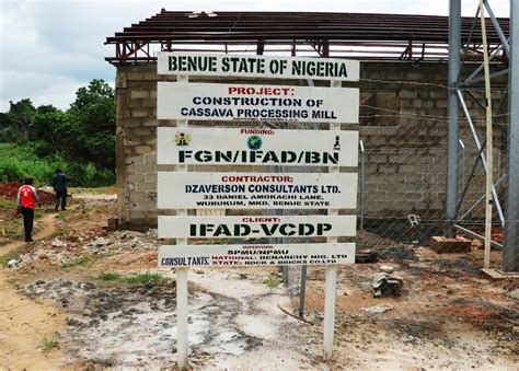 New Factories In Nigeria Transform Cassava Peels Into Livestock Feed