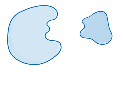 Diagram Of Enzymes Quizlet