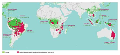 Global Deforestation Map Wwf One Planet School