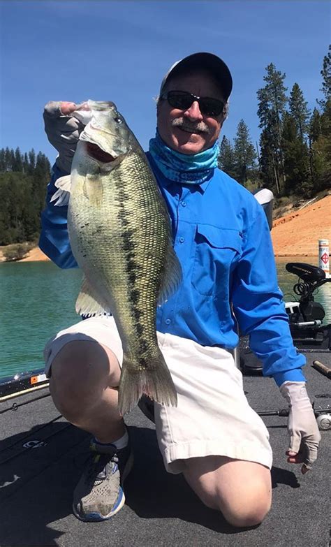 In The Industry Huge Spotted Bass Boated At Bullards Bar Reservoir