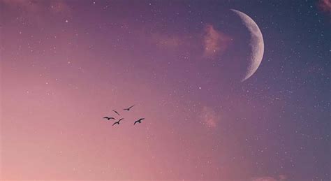 Cesium实战 七十三 纹理叠加 Cesium中文网