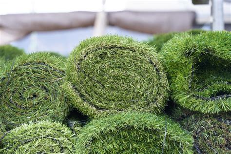 What Is Sod Types Uses And Growing Advice