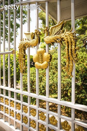 Kkef17000148 유사이미지 게티이미지코리아